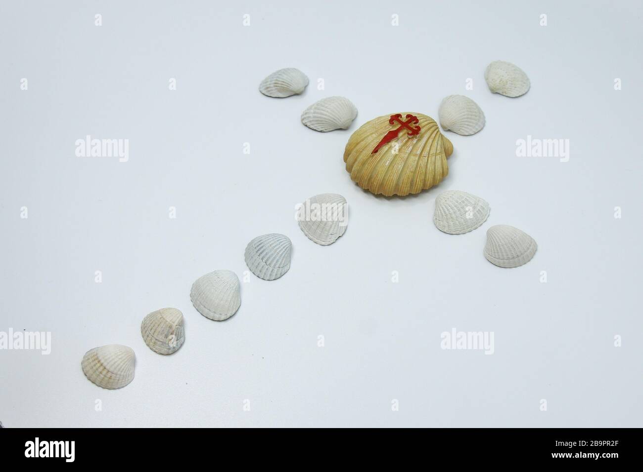 Seashell of St. James with a bloody red cross. Symbol of pilgrims. Road ...