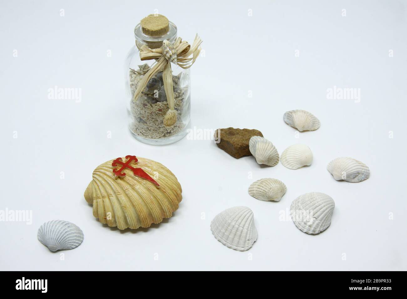 Seashell of St. James with a bloody red cross. Symbol of pilgrims. Road ...