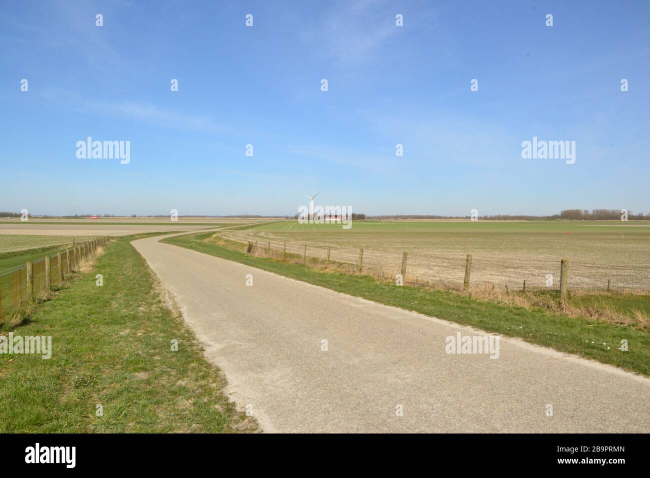 Dutch pasture under blue sky with clouds Stock Photo - Alamy