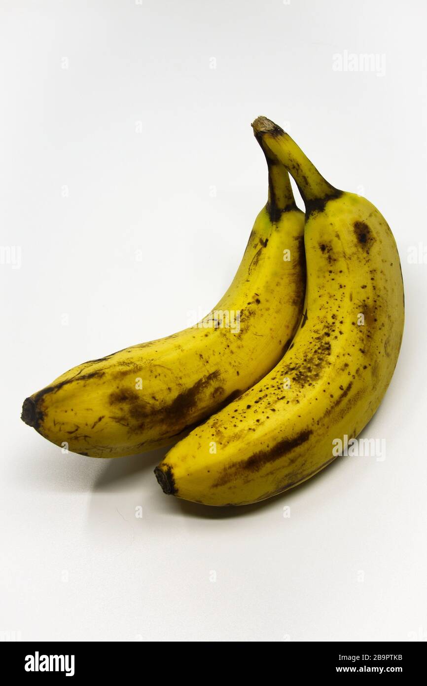Slightly over-ripe bananas. They are still suitable for consumption. An ...