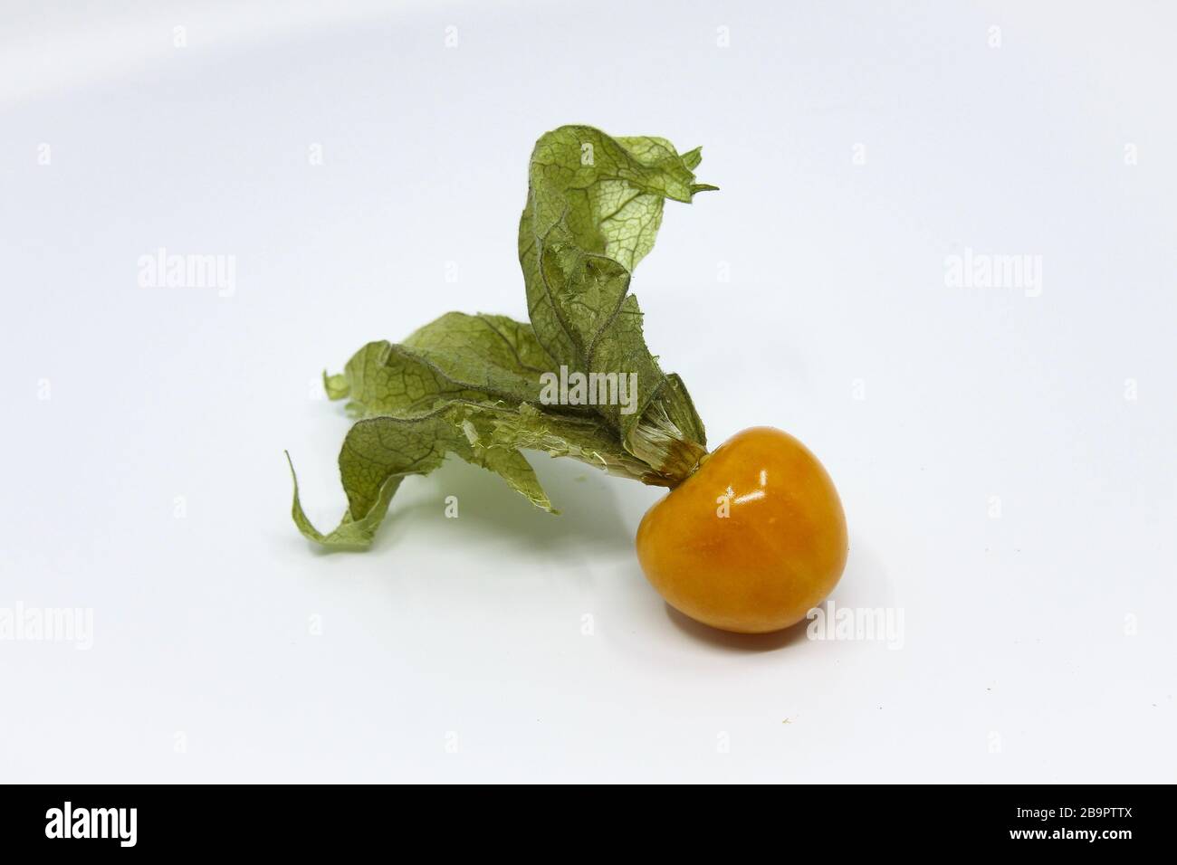Physalis, fruit in casing, husk. Ripe fruit with beautiful, rich colors ...