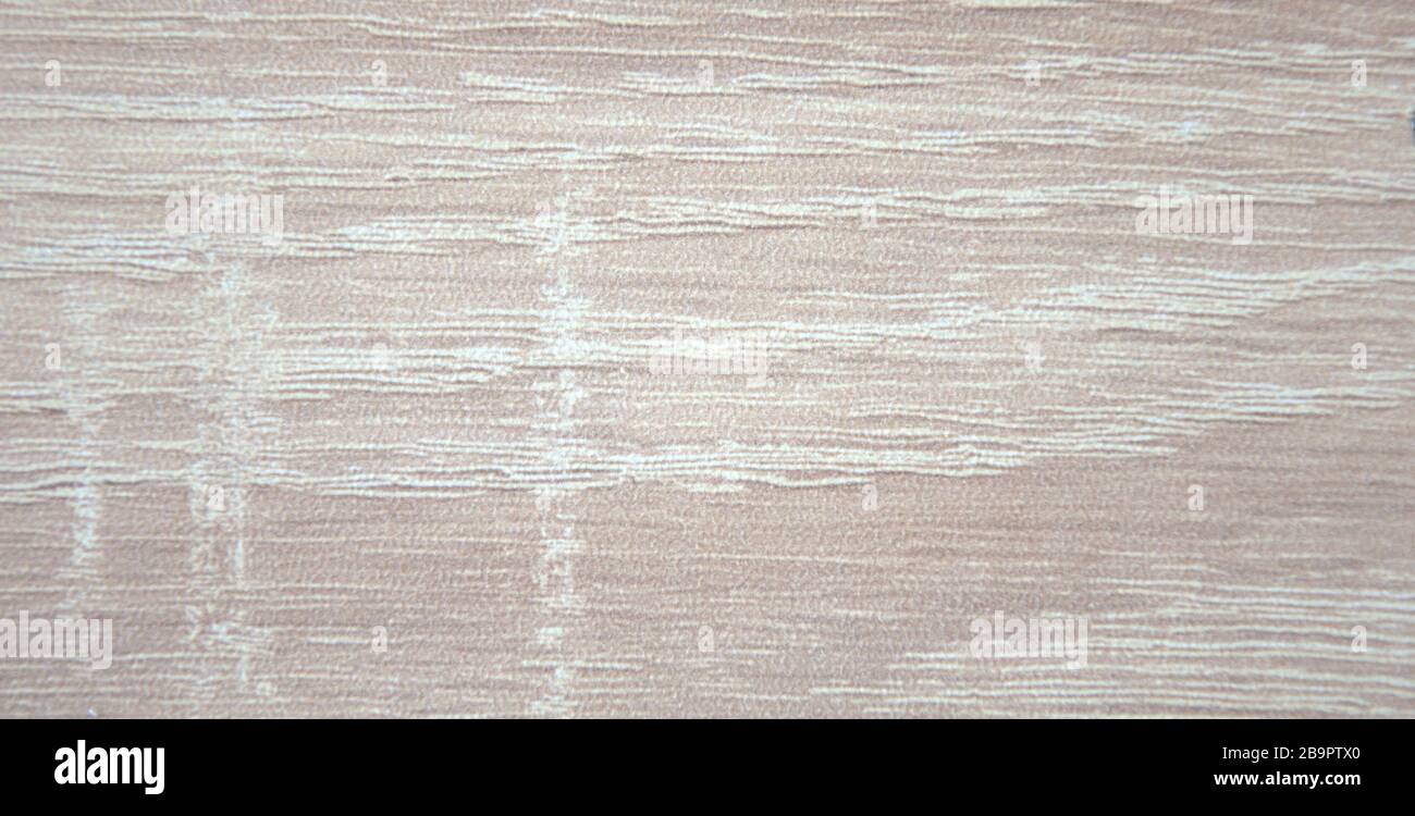 Light ash, natural drawing of wood on a cut close-up. Background ...