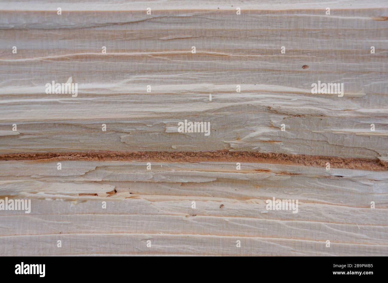 wood cut texture for background and your Stock Photo - Alamy