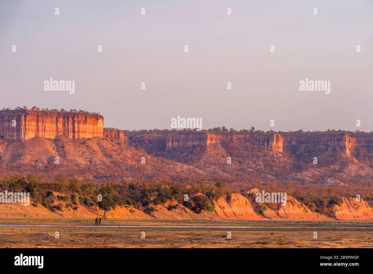 Elephant's seen in front of the Chilojo cliffs in Zimbabwe's Gonarezhou ...