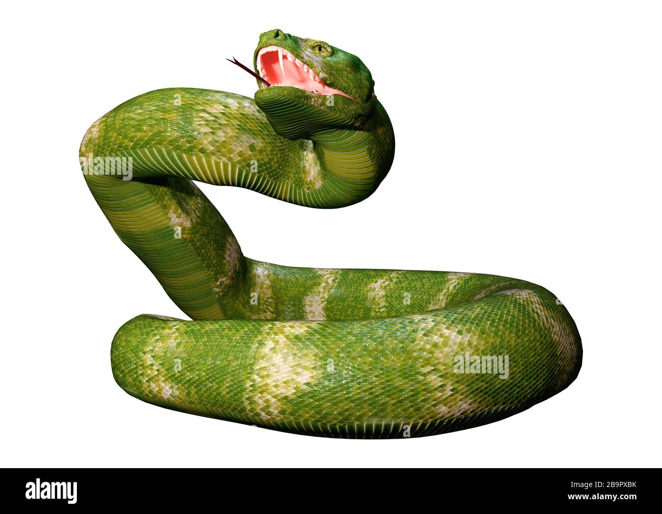 3D rendering of a green viper snake isolated on white background Stock ...
