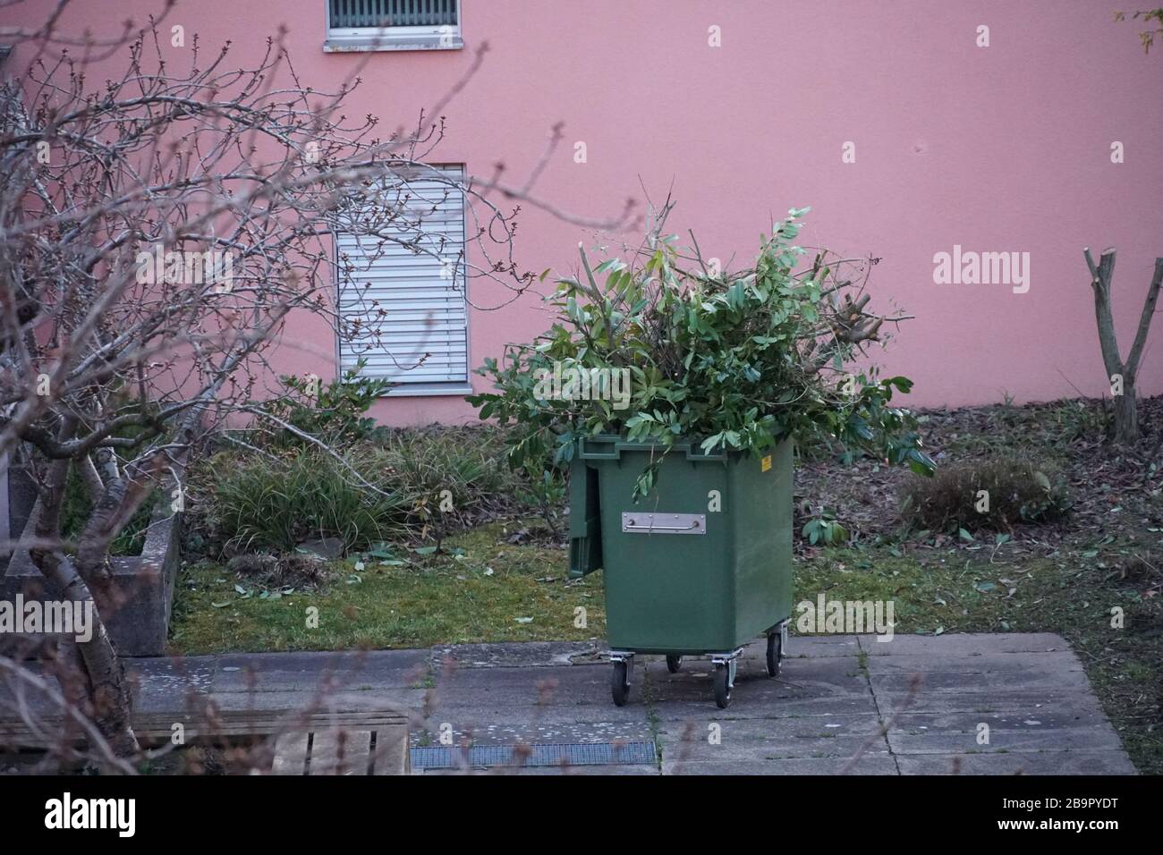organic waste container for separated waste full of tree branches from ...