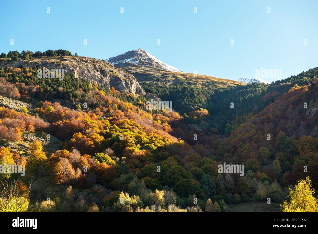 color of autumn at the mountain (french Pyrenees Stock Photo - Alamy