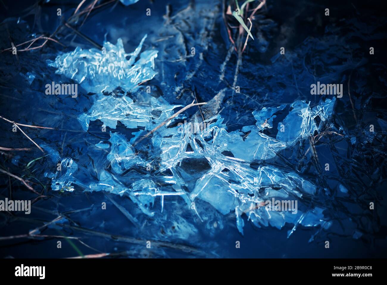 In a small puddle surrounded by withered grass, the water froze and ...