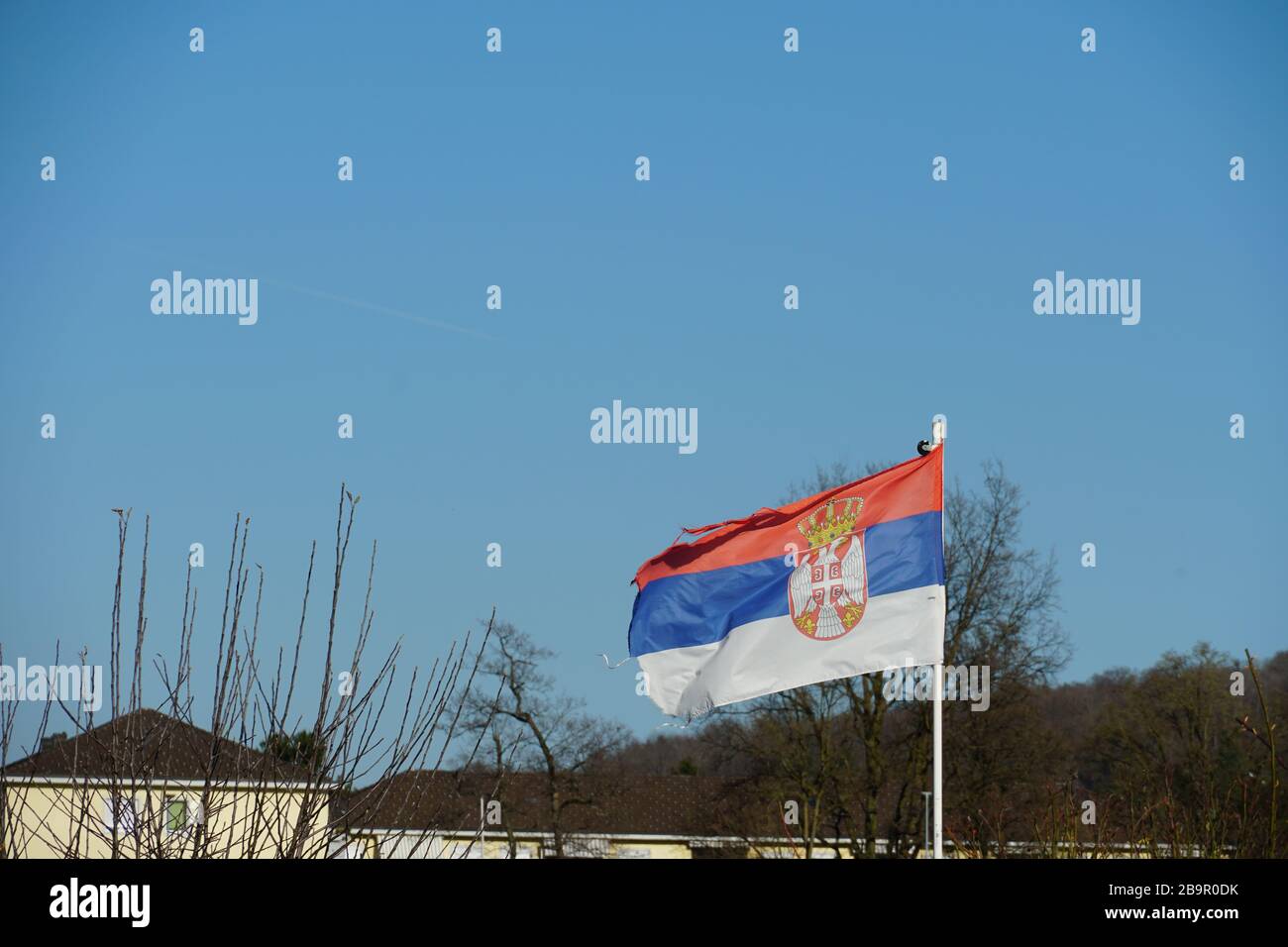 Flying Serbian flag, waving in the blowing wind in allotment garden ...