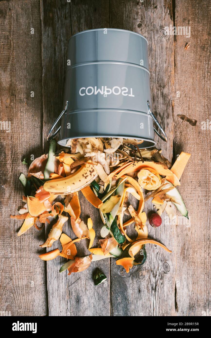 Sustainable and zero waste living. Vegetable waste in recycling compost ...