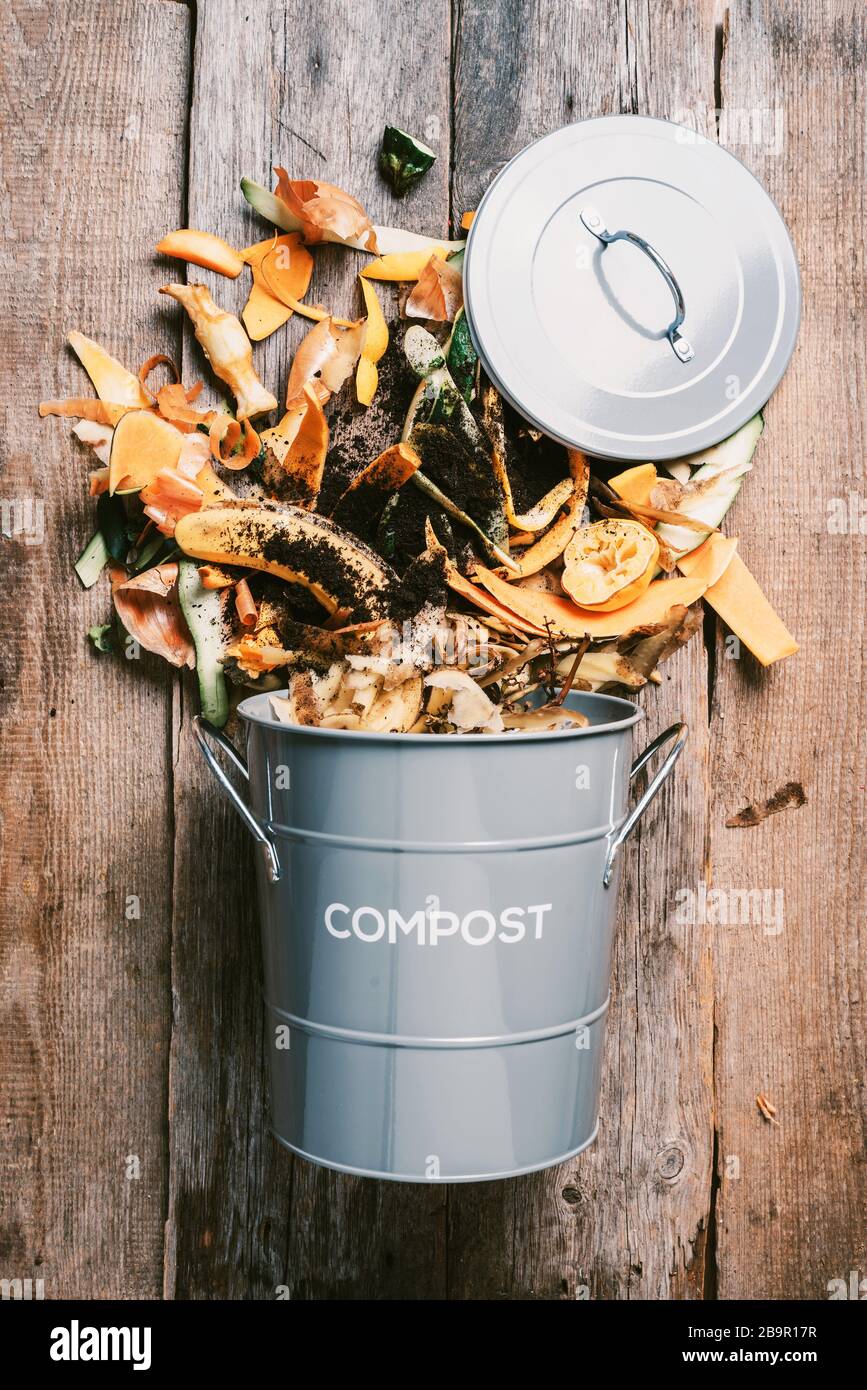 Garbage sorting. Organic food waste from vegetable ready for recycling ...