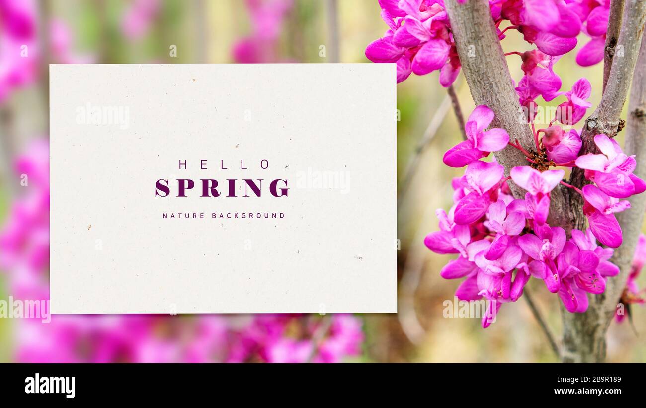 Spring flower atmosphere design Stock Photo - Alamy