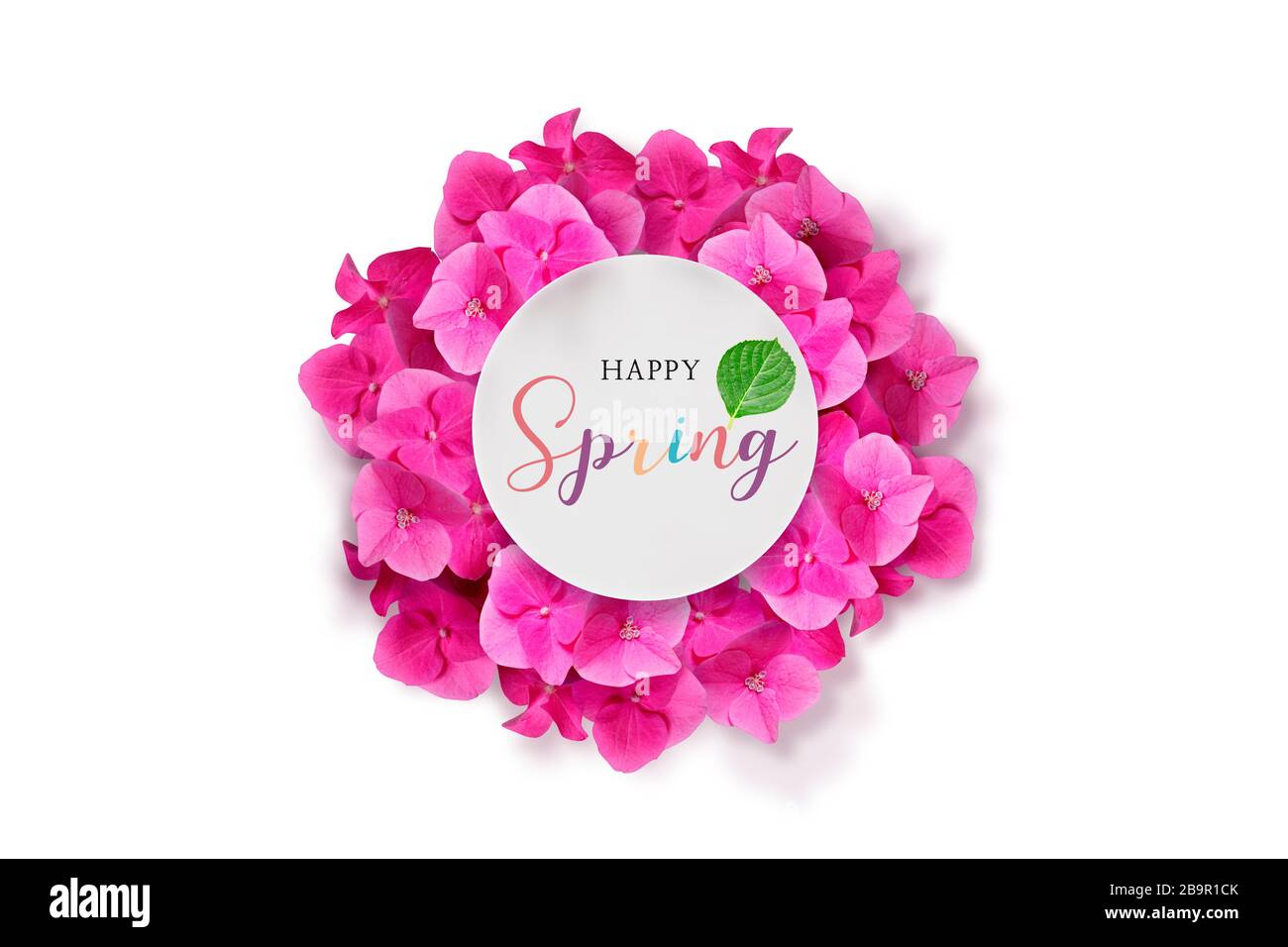 Hydrangea flower editable design Stock Photo - Alamy