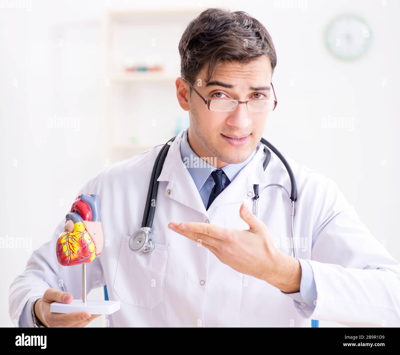 The doctor lecturer explaining the heart model Stock Photo - Alamy