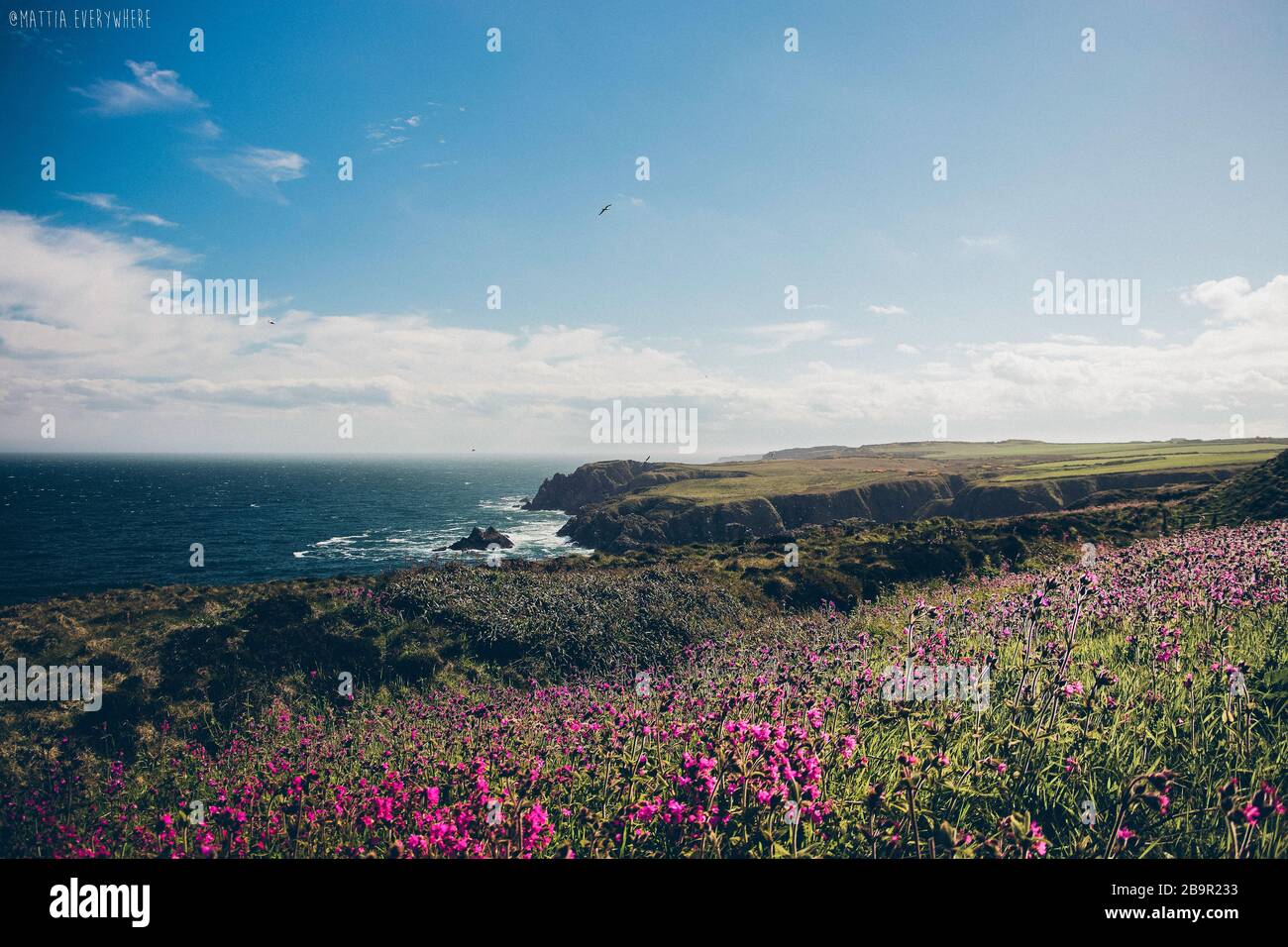 Edinburgh beaches hi-res stock photography and images - Alamy