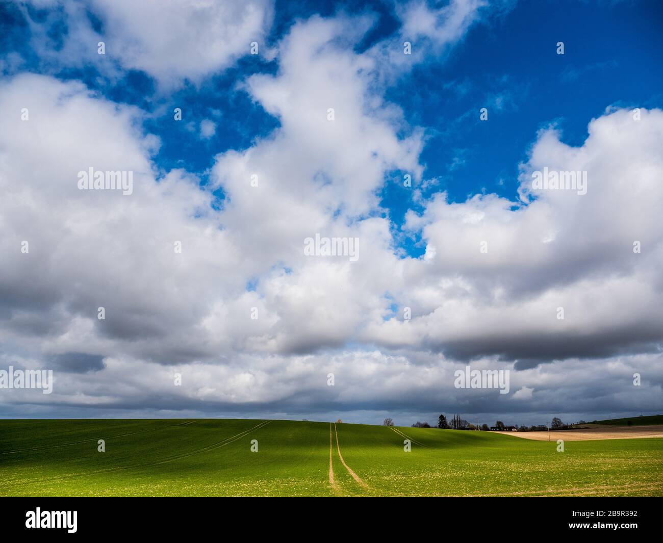 Chiltern Hills, Chiltern Hills AONB, Chilterns, Landscape nr Nuffield ...