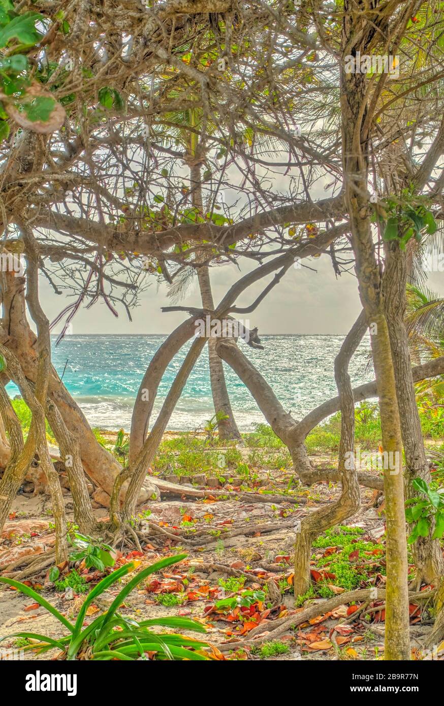 Tulum, Quintana Roo, Mexico Stock Photo - Alamy