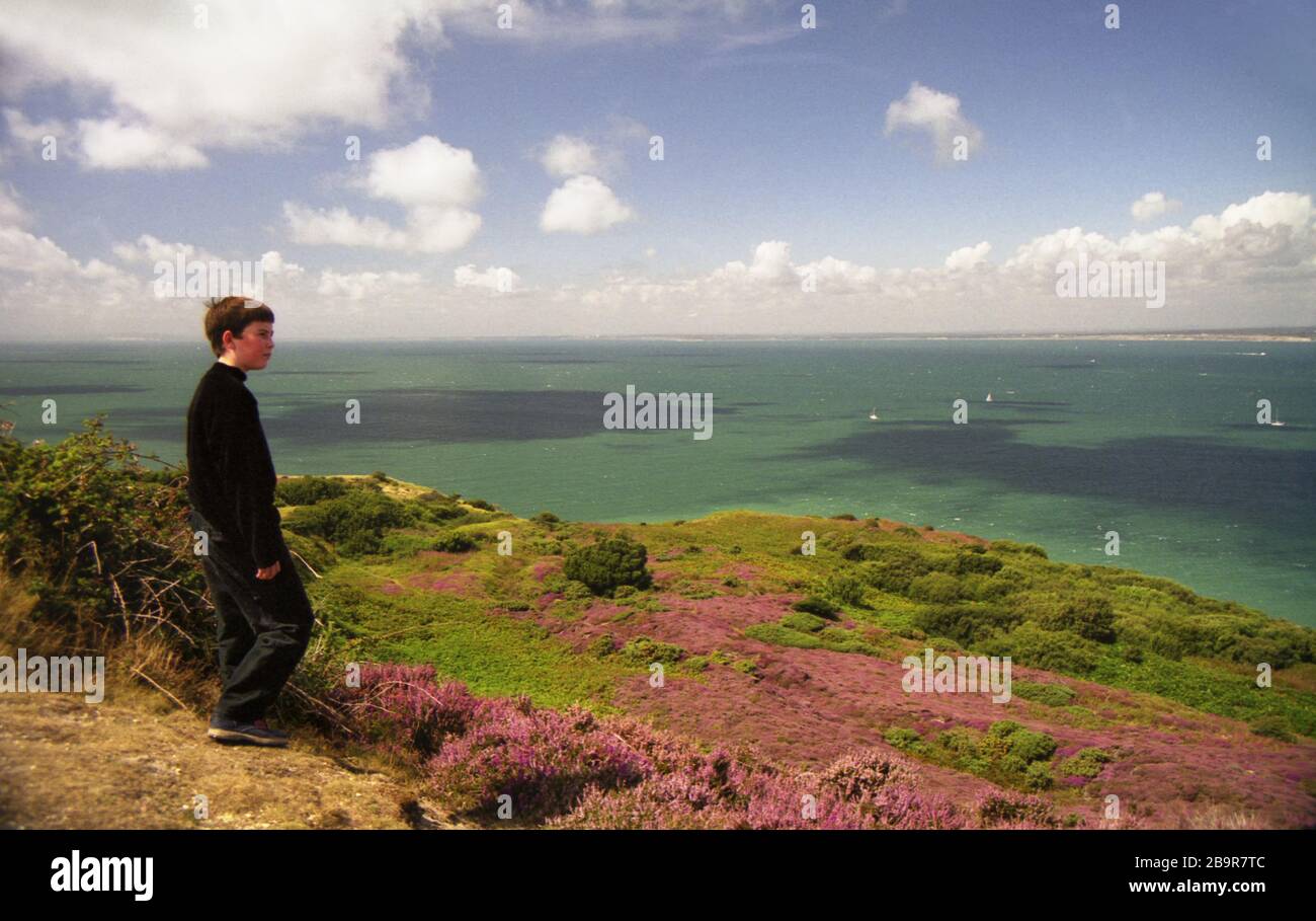 Boy stands looking out to sea on Headon Warren, Isle of Wight, England ...
