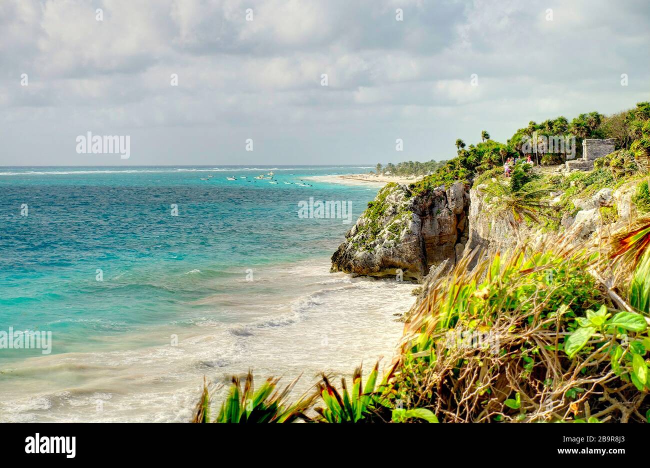 White roo hi-res stock photography and images - Alamy