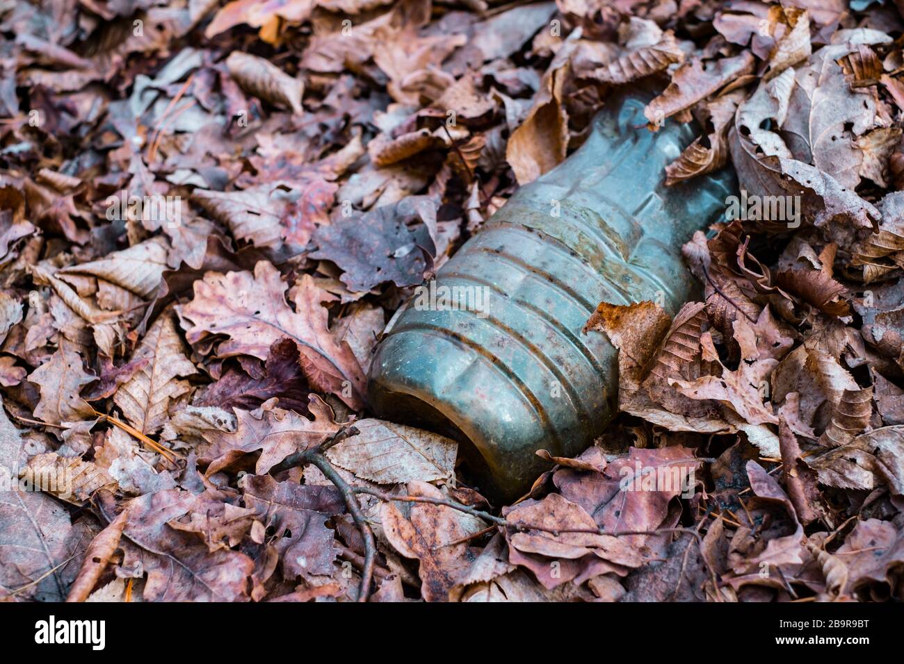 A dirty plastic bottle left in the autumn forest. Plastic waste in the ...