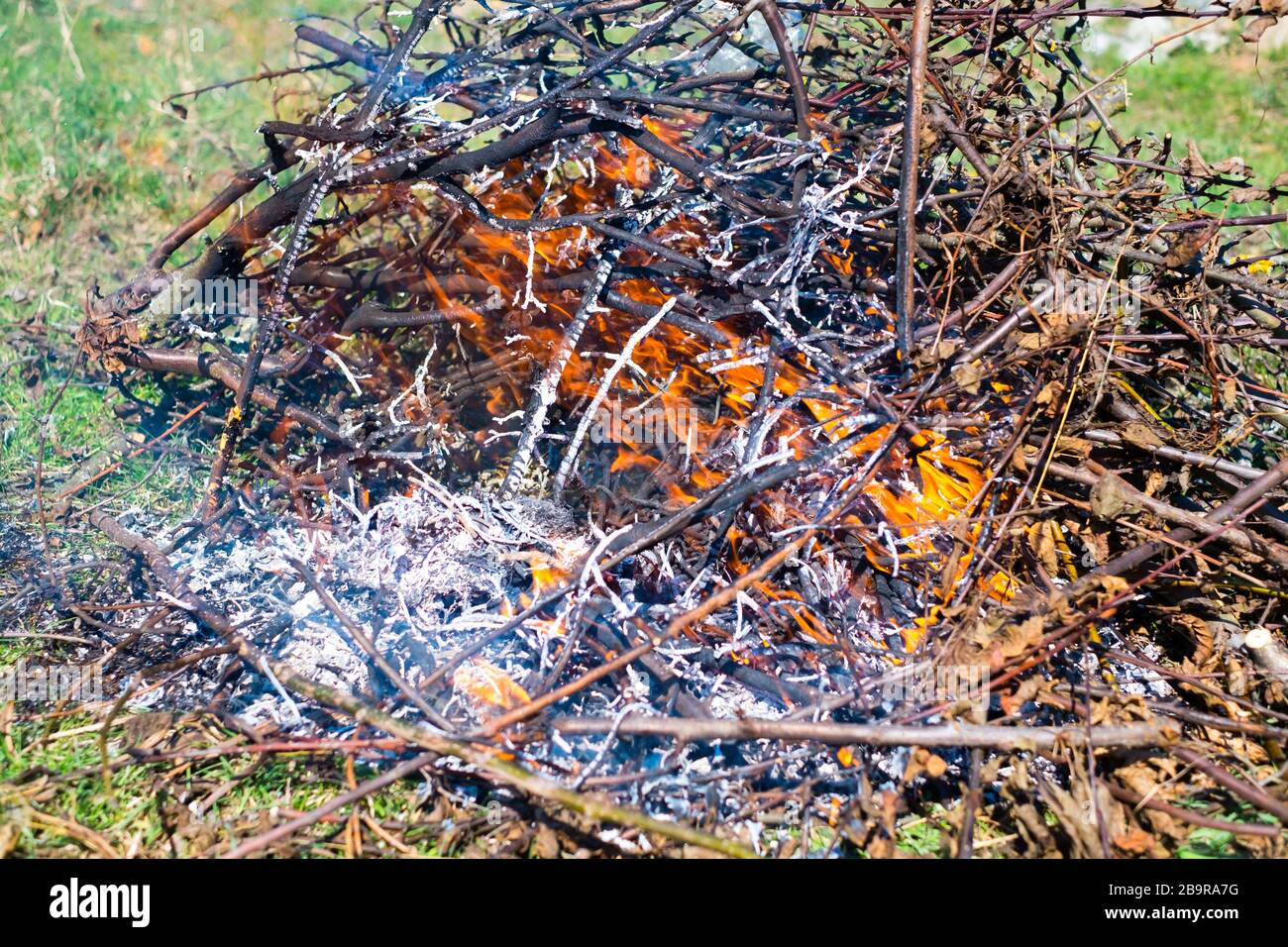 Fire and Smoke from during Burning of garden branches Stock Photo - Alamy