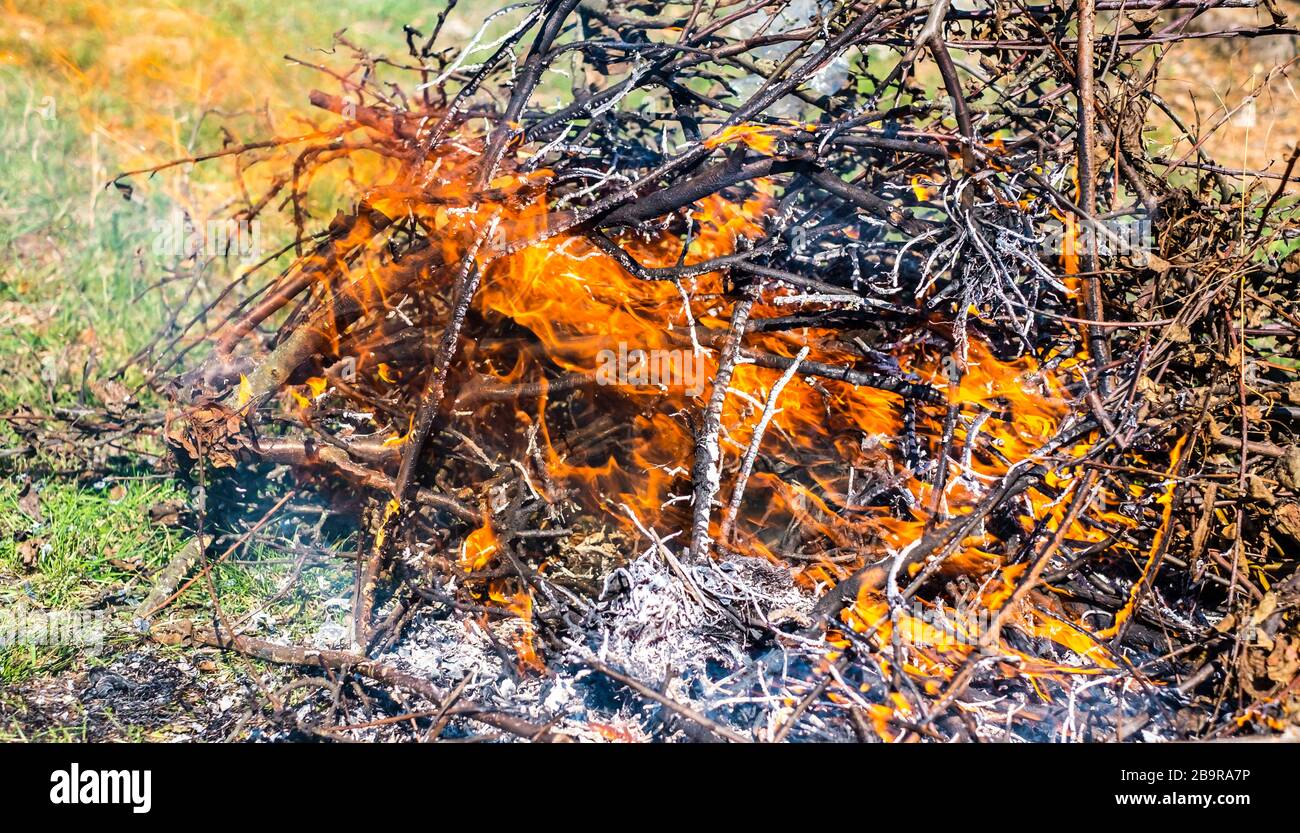 Fire and Smoke from during Burning of garden branches Stock Photo - Alamy