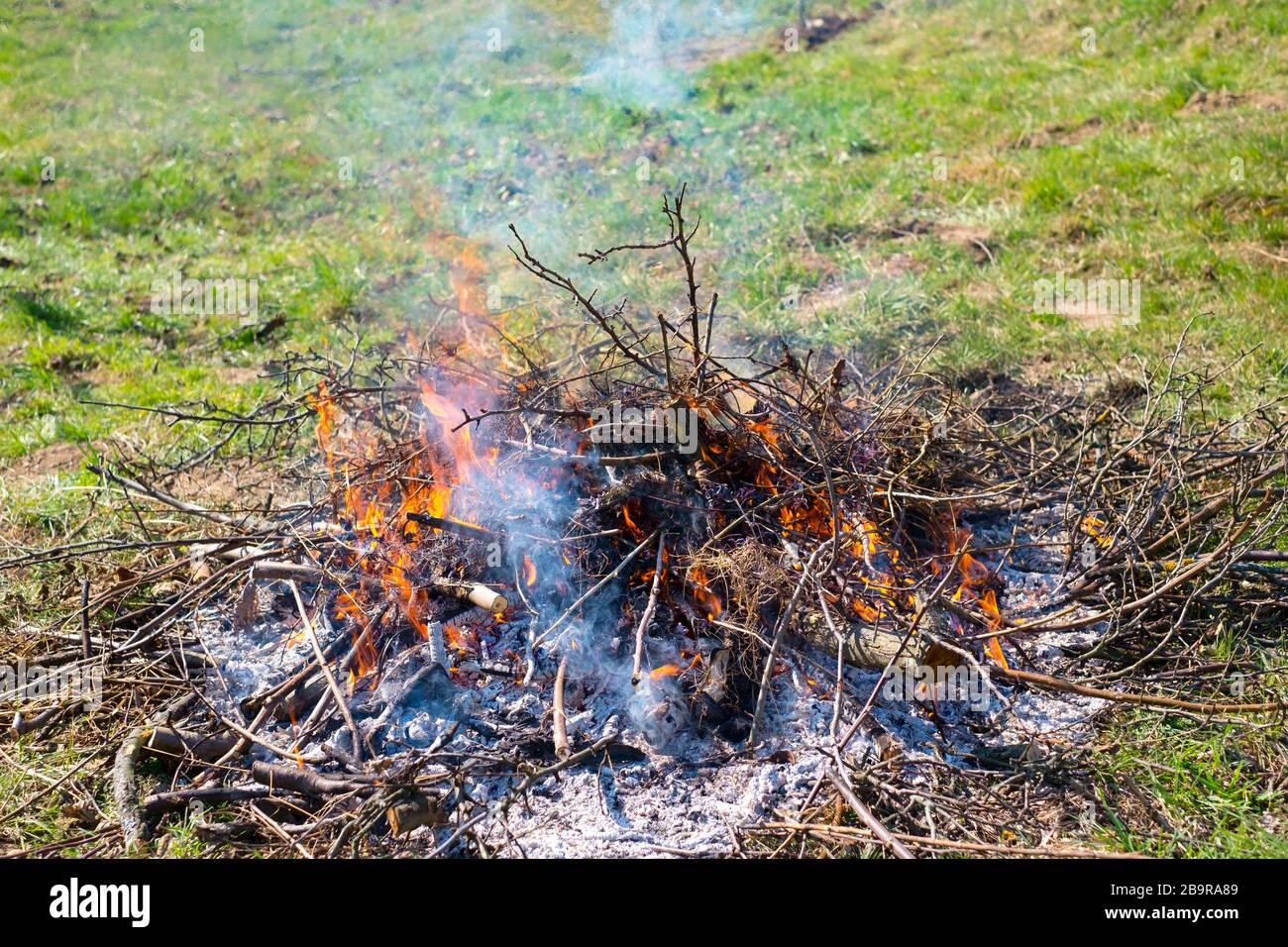 Fire and Smoke from during Burning of garden branches Stock Photo - Alamy