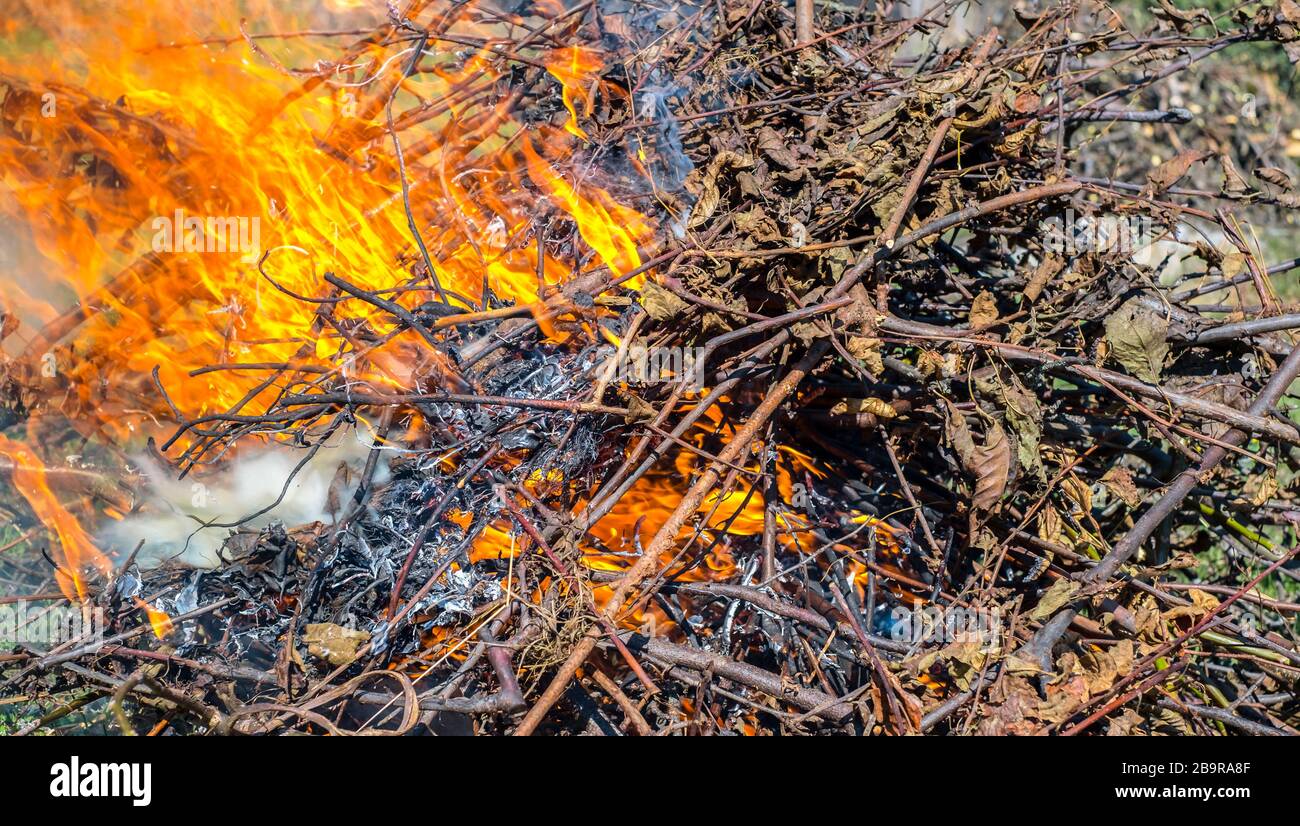 Fire and Smoke from during Burning of garden branches Stock Photo - Alamy