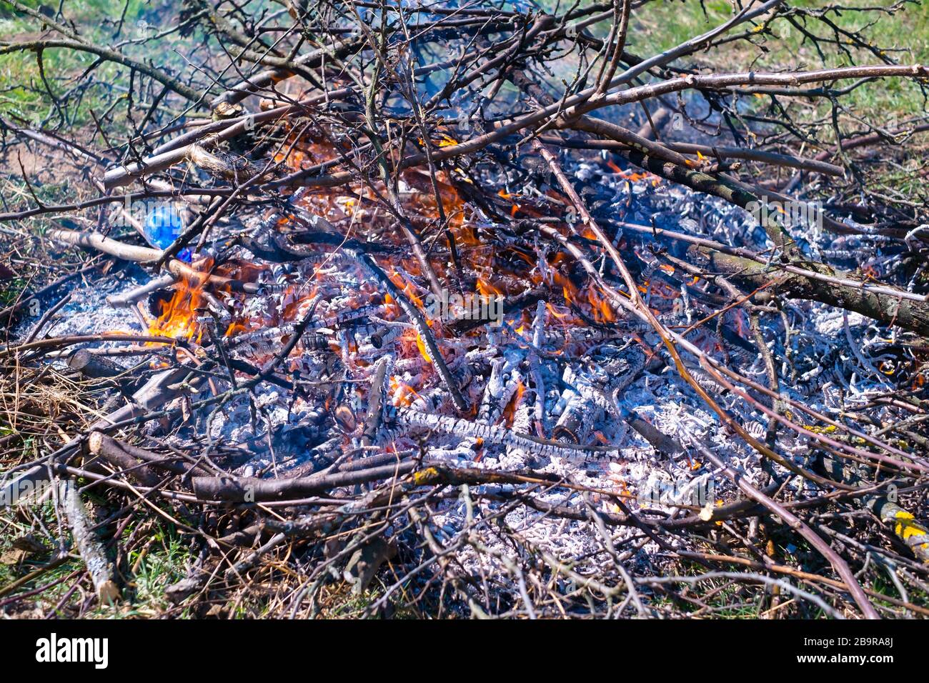 Fire and Smoke from during Burning of garden branches Stock Photo - Alamy