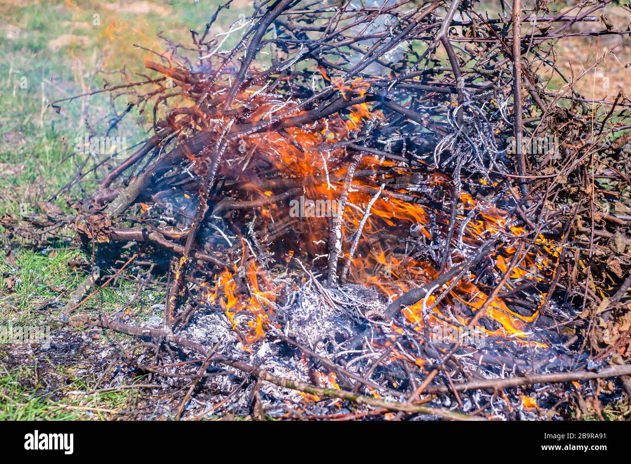 Fire and Smoke from during Burning of garden branches Stock Photo - Alamy