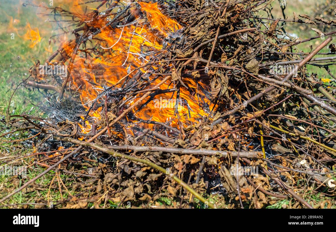 Fire and Smoke from during Burning of garden branches Stock Photo - Alamy