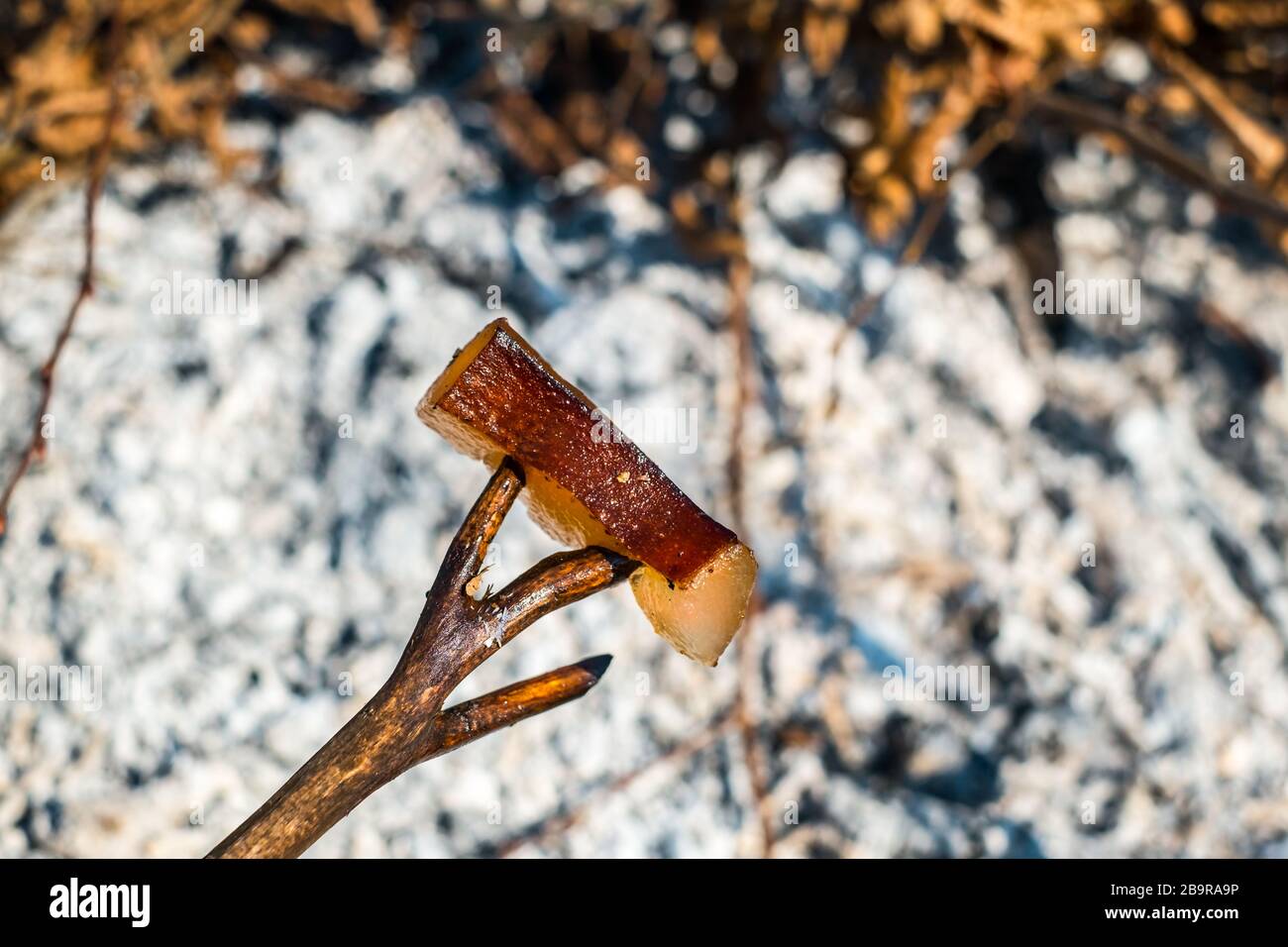 fried bacon on stick, slanina,traditional food in Romania Stock Photo ...