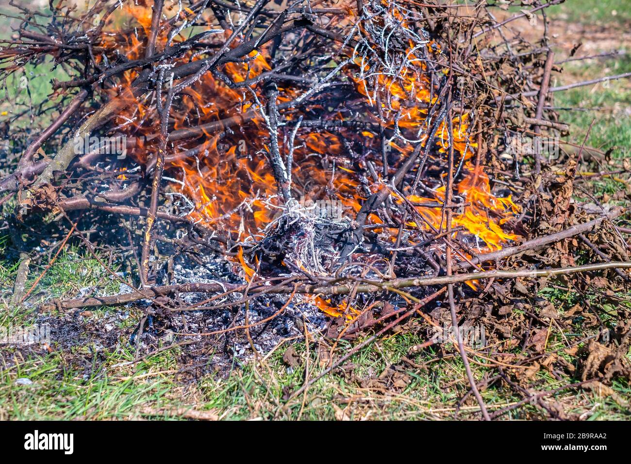Fire and Smoke from during Burning of garden branches Stock Photo - Alamy