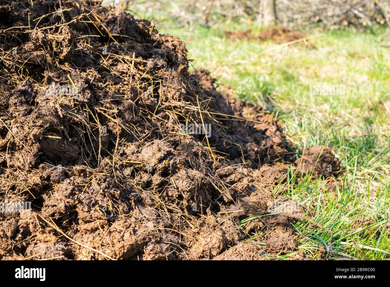 Piles of cow manure on the farm to fertilize the ground Stock Photo - Alamy