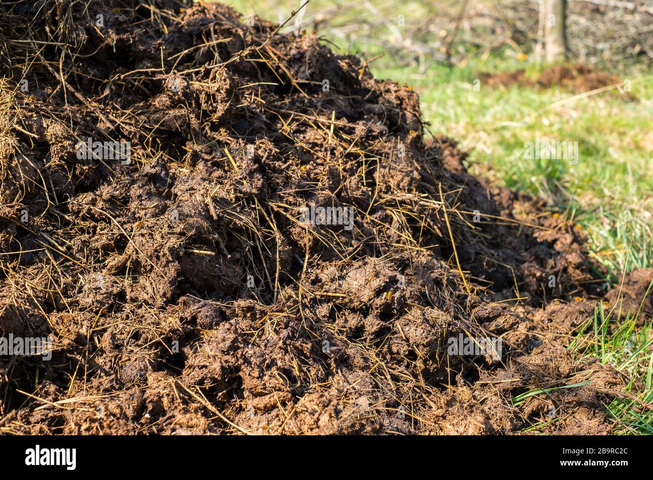 Piles of cow manure on the farm to fertilize the ground Stock Photo - Alamy