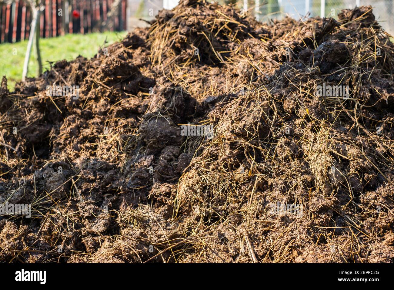 Piles of cow manure on the farm to fertilize the ground Stock Photo - Alamy