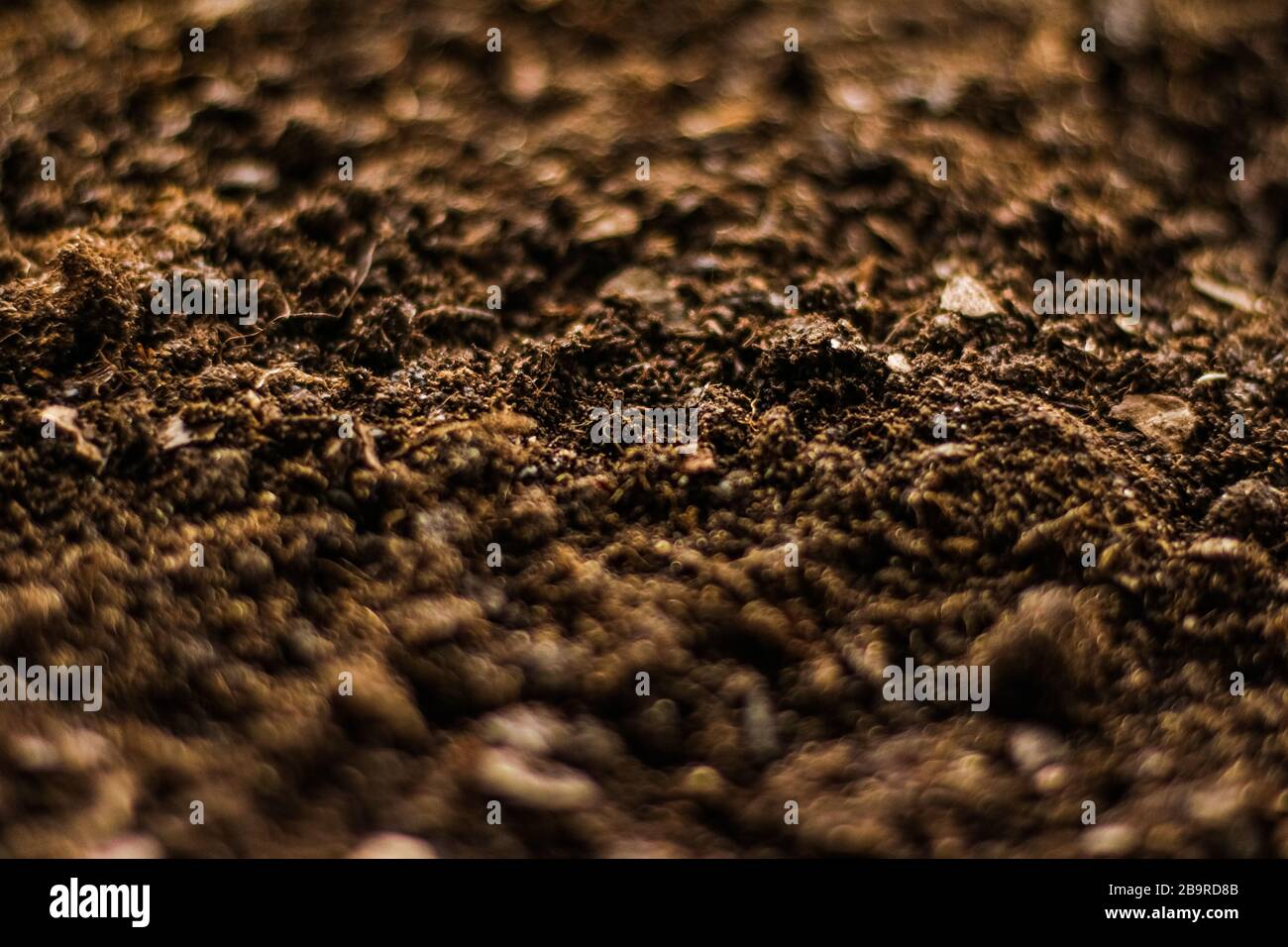 Earth ground texture as background, nature and environmental backdrop ...