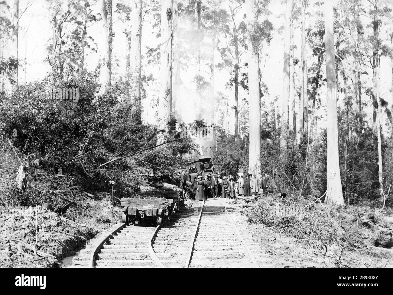 Lady hopetoun hi-res stock photography and images - Alamy