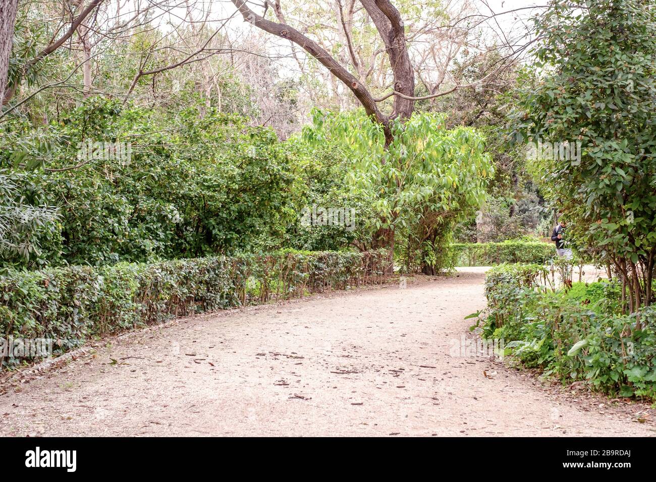 Athens, Greece - February 14 2020:. The National Garden is a public ...