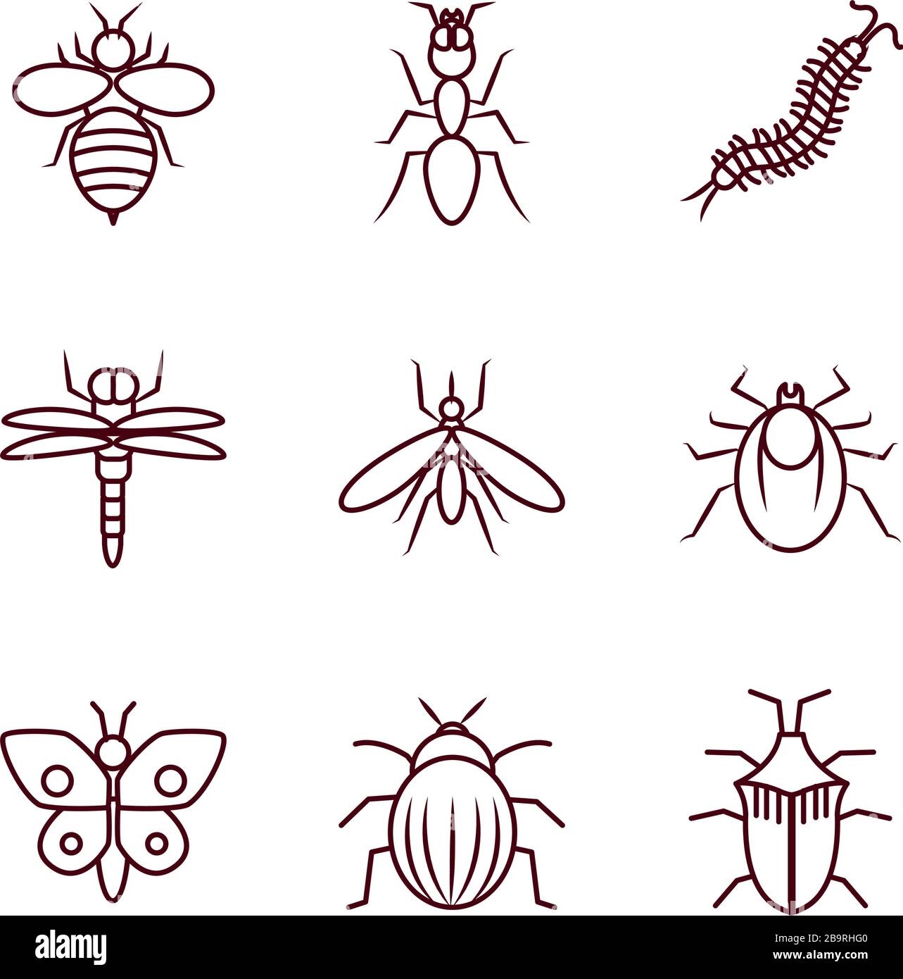bee and insect concept icon set over white background, line style ...