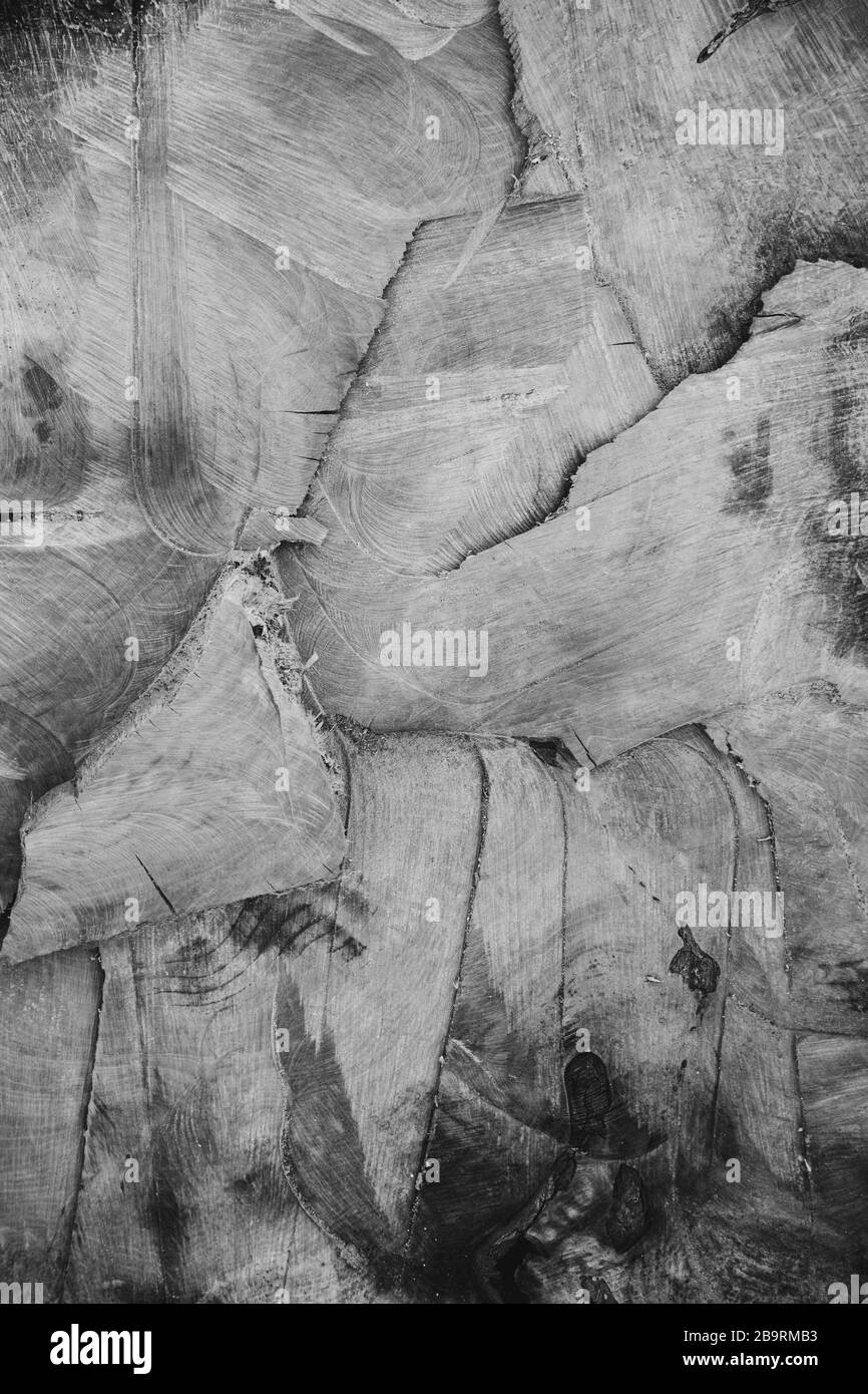 Split log structure Black and White Stock Photos & Images - Alamy
