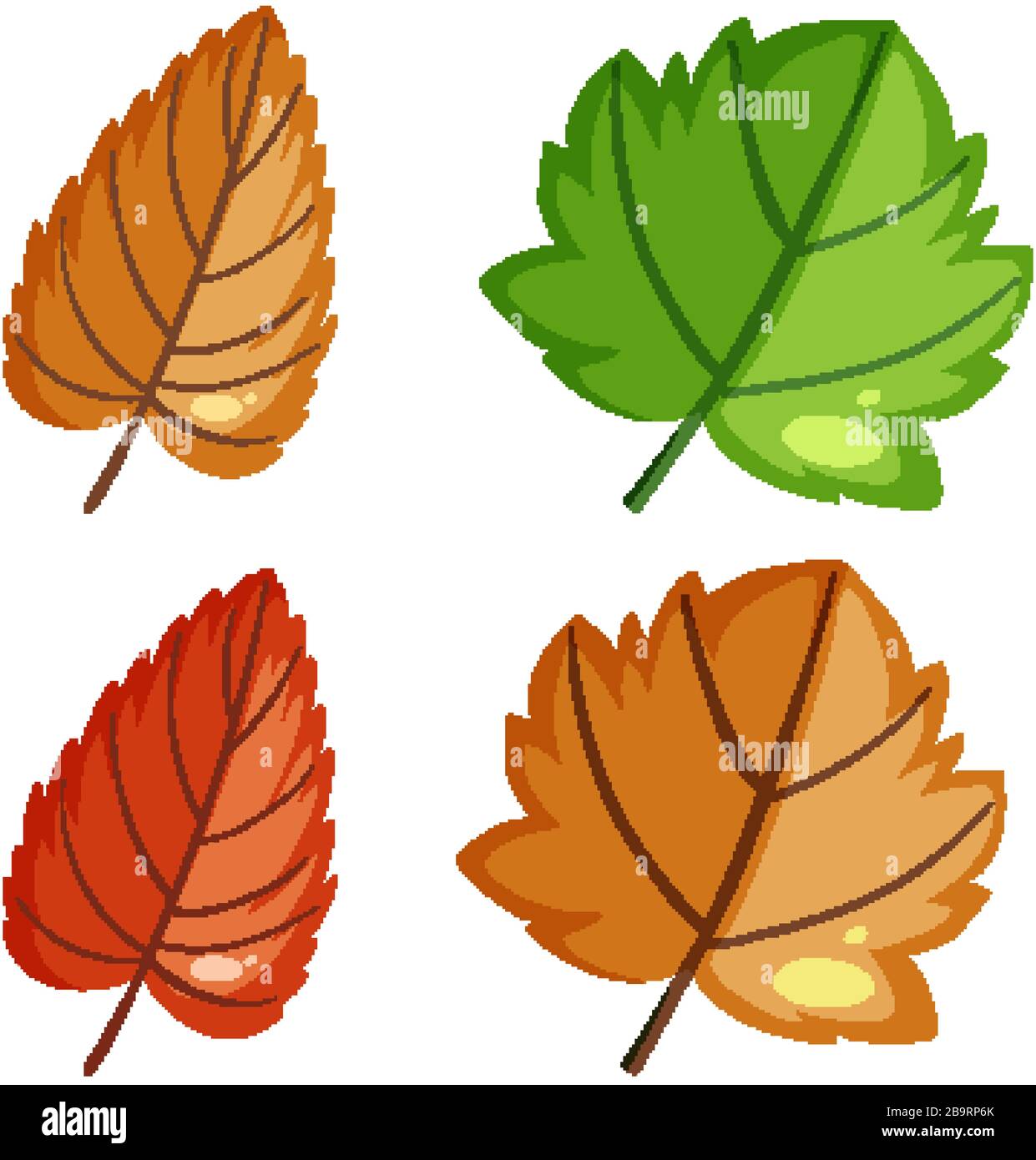 Large set flowers plants Cut Out Stock Images & Pictures - Alamy