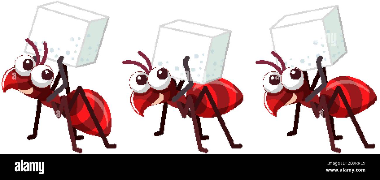 Three red ants with sugar cube on white background illustration Stock ...