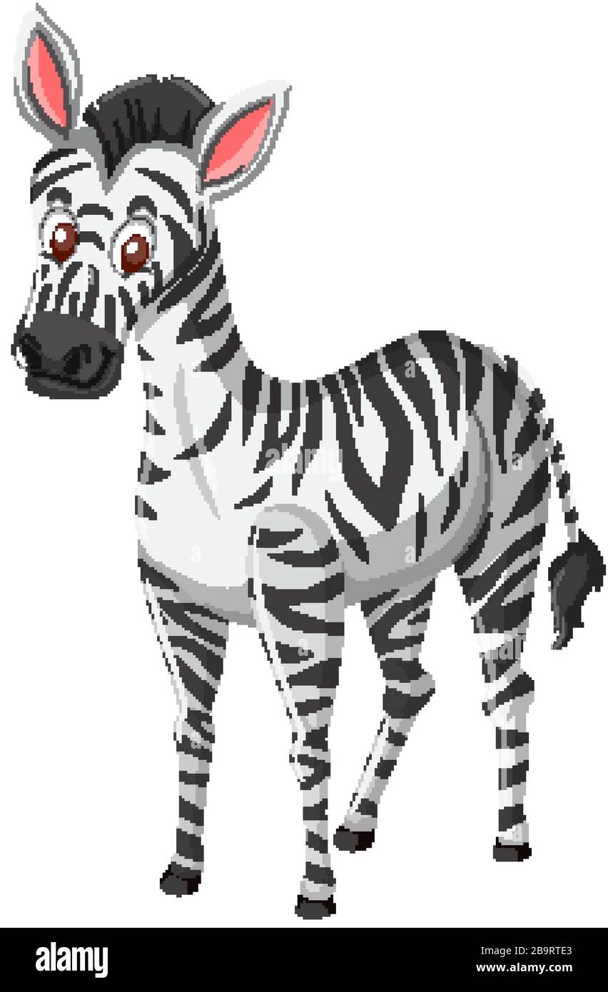Cute zebra on white background illustration Stock Vector Image & Art ...
