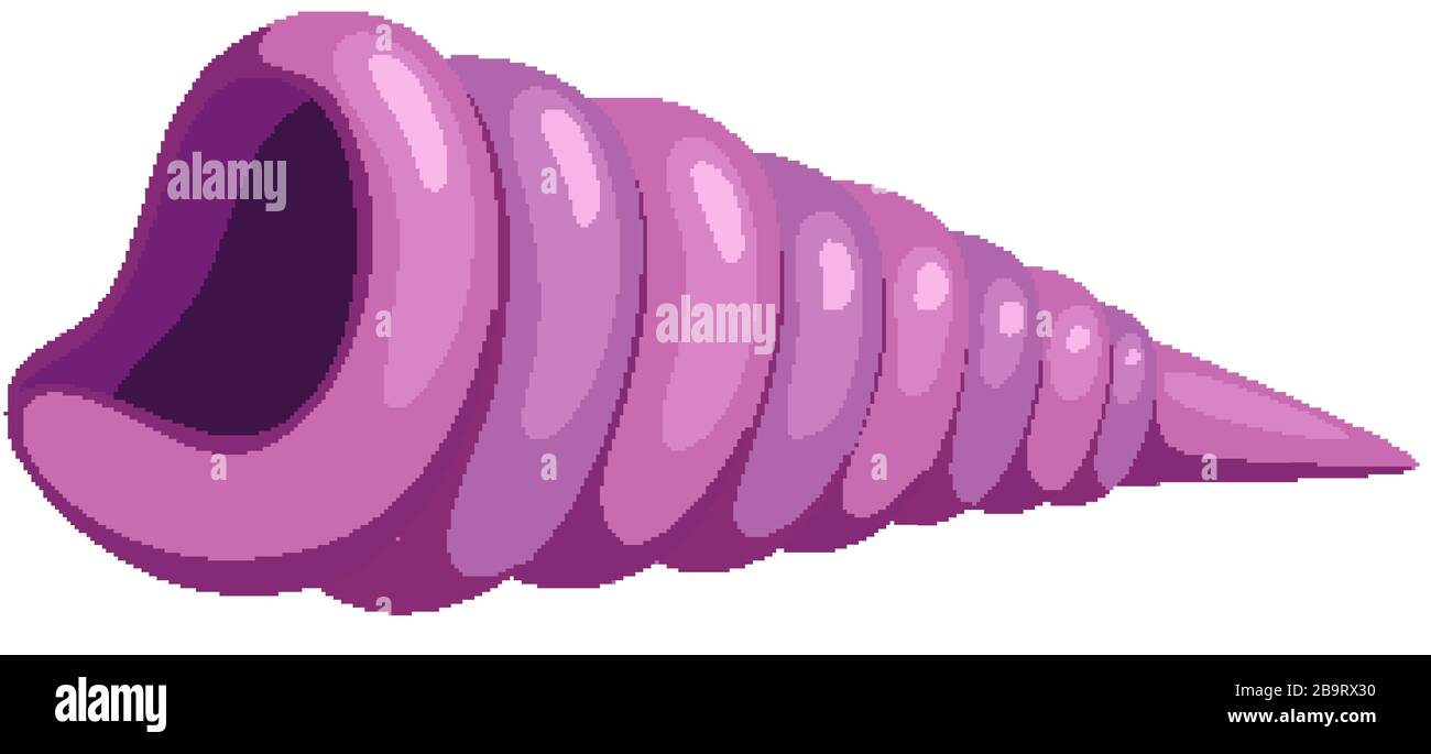 Purple seashell on white background illustration Stock Vector Image ...