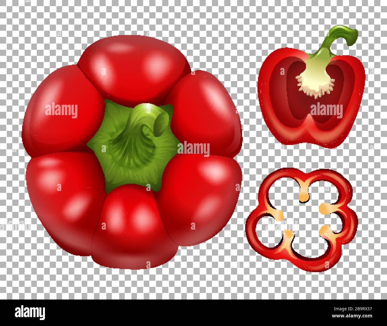 Red bellpepper on transparent background illustration Stock Vector ...