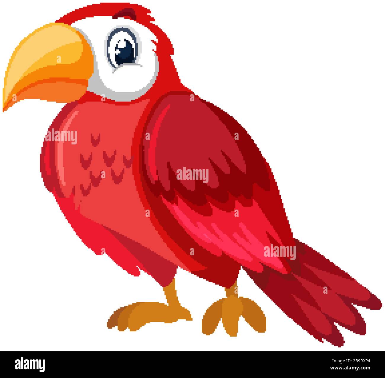 Red parrot on white background illustration Stock Vector Image & Art ...