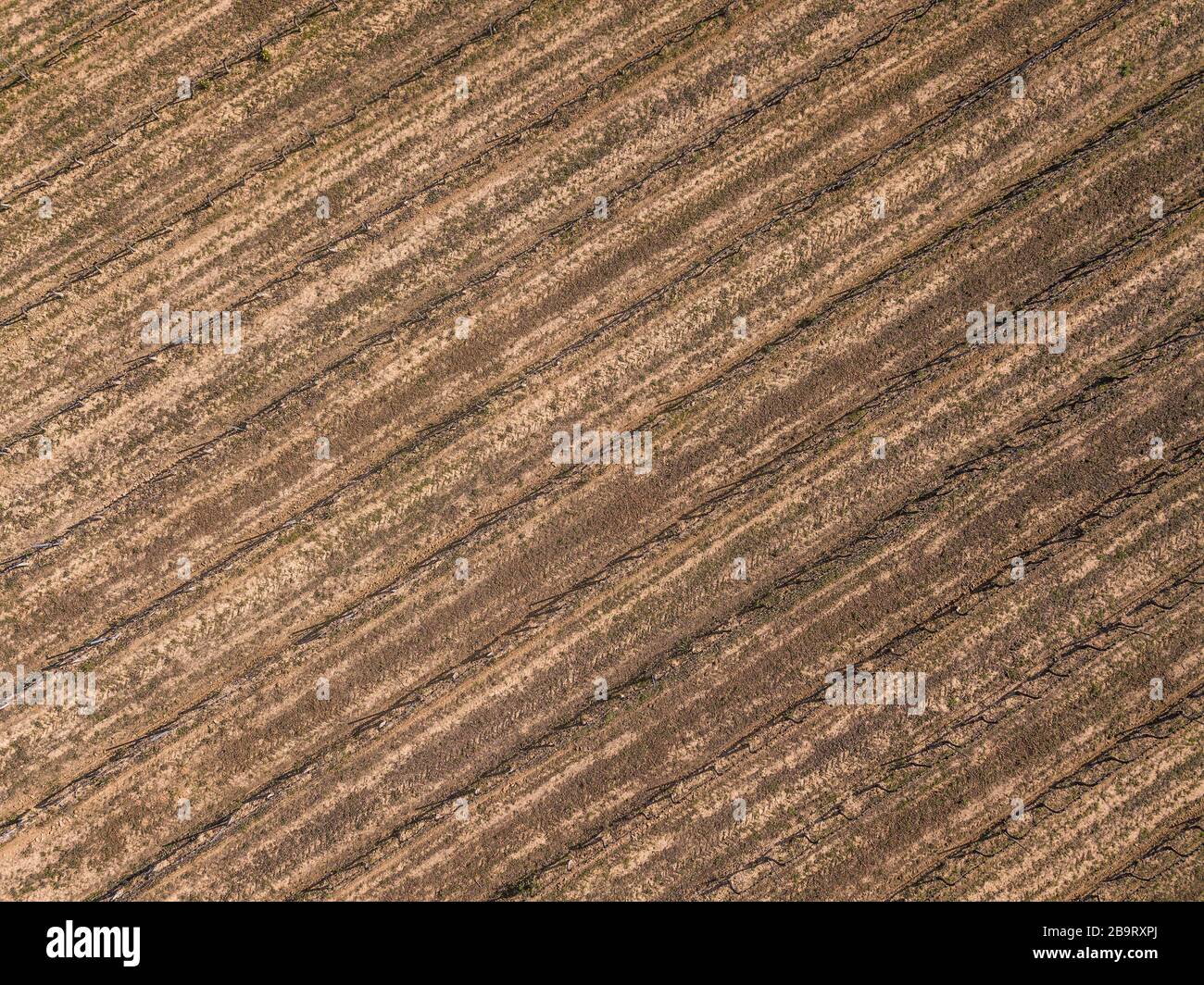 Aerial view shot from a drone of brown soil for agriculture cultivation ...