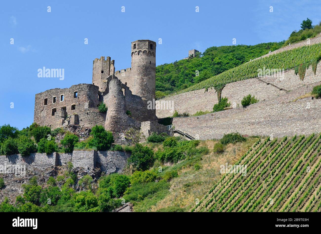 Germany, Castle Bingen in Unesco World Heritage site of Rhine Valley ...