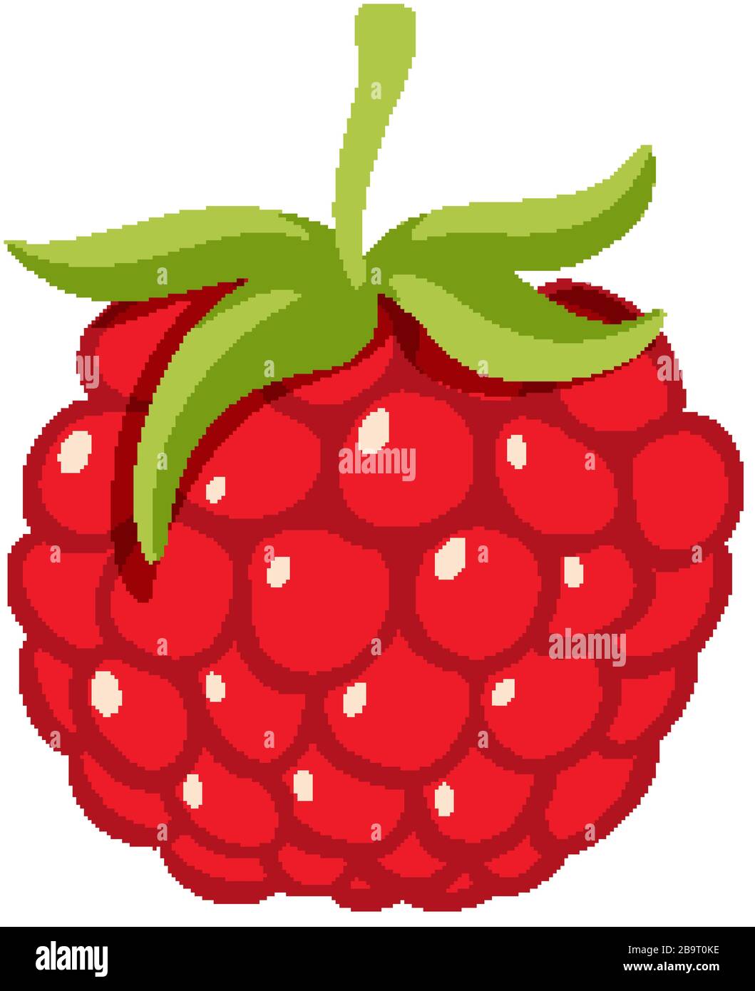 One piece of raspberry on white background illustration Stock Vector ...